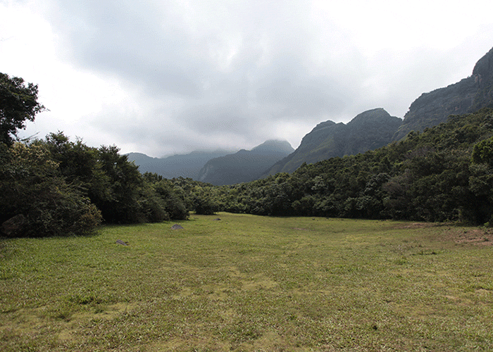 Sri lanka field wakest GIF - Find on GIFER