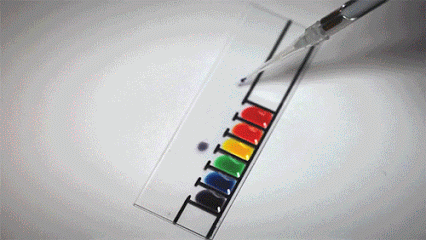 Entomology GIF - Find on GIFER