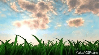 GIF swaying - animated GIF on GIFER