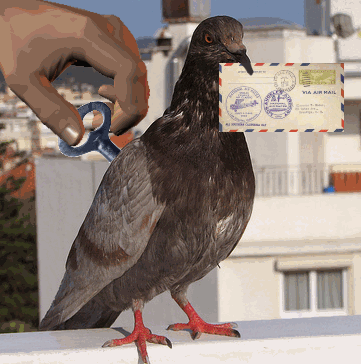 GIF mail - animated GIF on GIFER