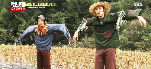 GIF wizard of oz - animated GIF on GIFER