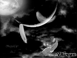 Feathers GIF - Find on GIFER