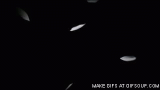 Feathers GIF - Find on GIFER