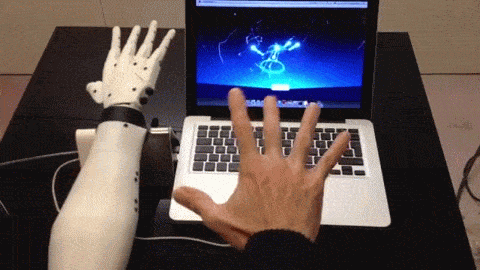 GIF robot project results - animated GIF on GIFER