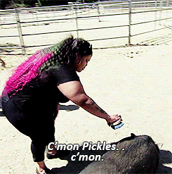 Bad girls club bgc redemption bgc13 GIF - Find on GIFER