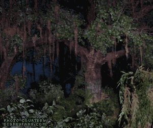 Bayou GIF - Find on GIFER
