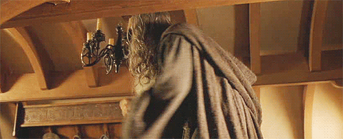 Program GIF - Find on GIFER