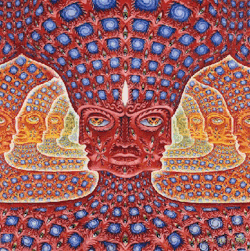 Hallucination GIF - Find on GIFER