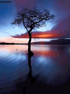 Landscape GIF - Find on GIFER