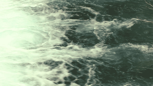 River water nature GIF - Find on GIFER