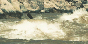 Im out GIF - Find on GIFER