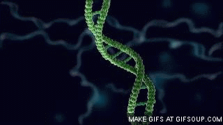 Dna GIF - Find on GIFER