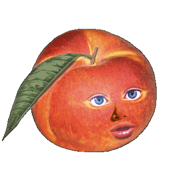 Transparent transparents GIF - Find on GIFER