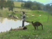Wasted GIF - Find on GIFER
