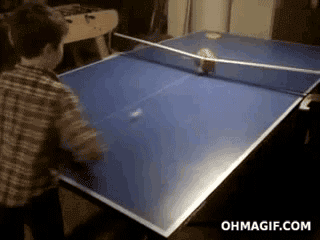 Cats kitty pong GIF - Find on GIFER