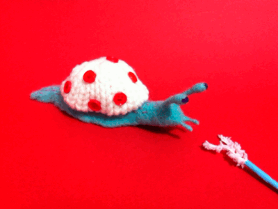 Snail GIF - Find on GIFER
