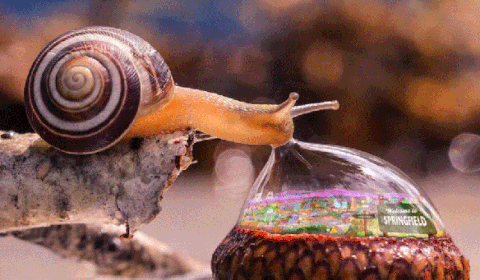 Snail GIF - Find on GIFER