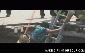 Earth signs GIF - Find on GIFER