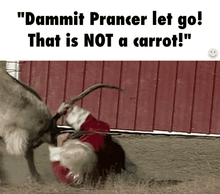 Gotcha GIF - Find on GIFER