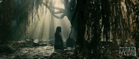 Grave GIF - Find on GIFER