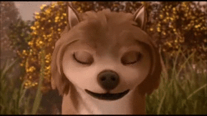 GIF alpha - animated GIF on GIFER