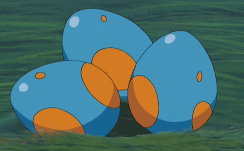 Mudkip pokemon GIF - Find on GIFER