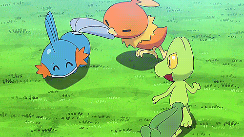 GIF mudkip - animated GIF on GIFER