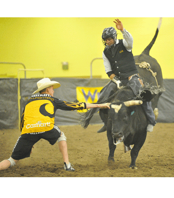GIF rodeo - animated GIF on GIFER