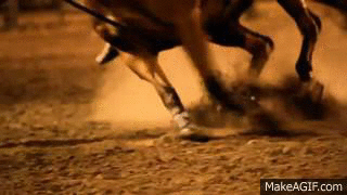 Rodeo GIF - Find on GIFER