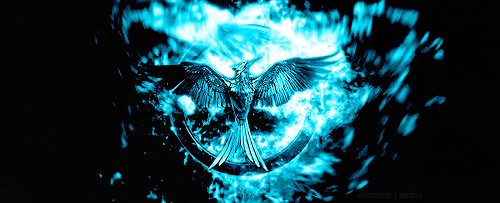 Blue Mockingjay Logo