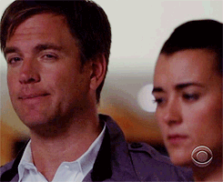 Ncis GIF - Find on GIFER