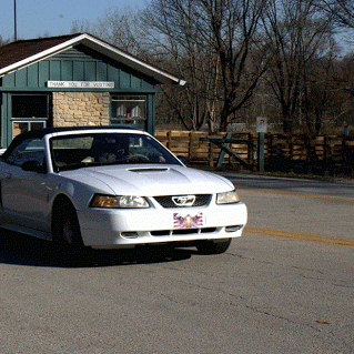 Mg GIF - Find on GIFER