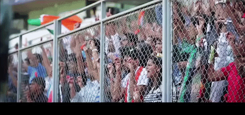 Cricket indian sports india GIF - Find on GIFER