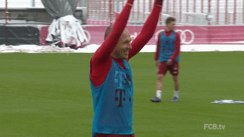 Fröhliches Robben Gif Ribery GIFs | Tenor