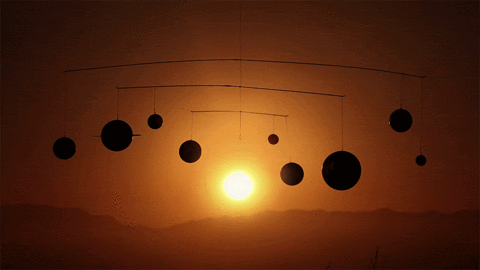 GIF dp - animated GIF on GIFER