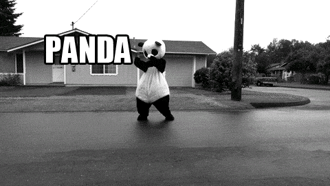 Shan GIF - Find on GIFER