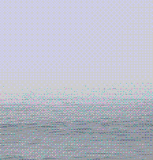 Focused GIF - Find on GIFER