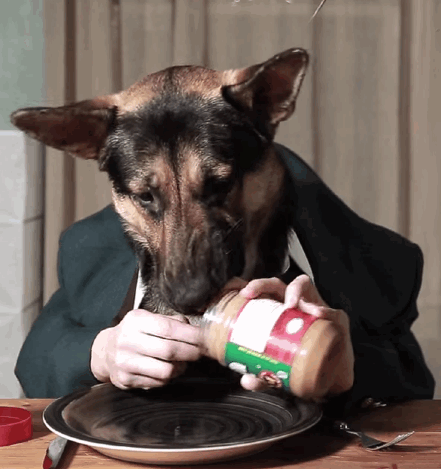 Gif Animado De Perro Riendo