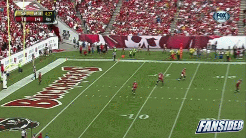 Tampa bay buccaneers GIF - Find on GIFER