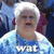 Wat GIF - Find on GIFER