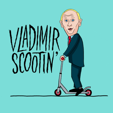 Sholim GIF - Find on GIFER