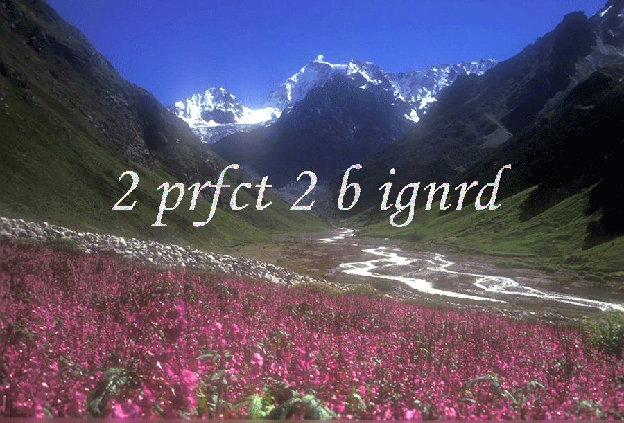 Living uncertainty engine GIF - Find on GIFER