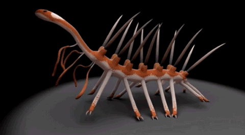 Worm GIF - Find on GIFER