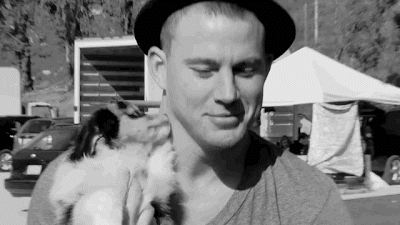 Here pants na GIF - Find on GIFER