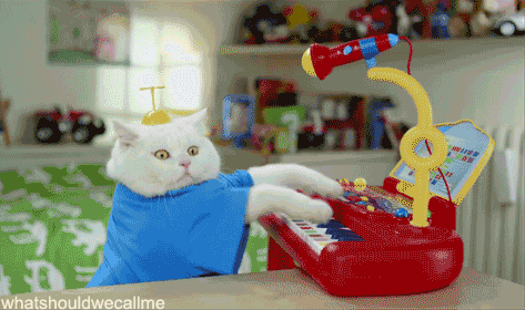 Piano chaton jouet GIF - Trouver sur GIFER