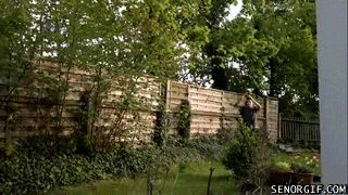 Fail flip front GIF - Find on GIFER