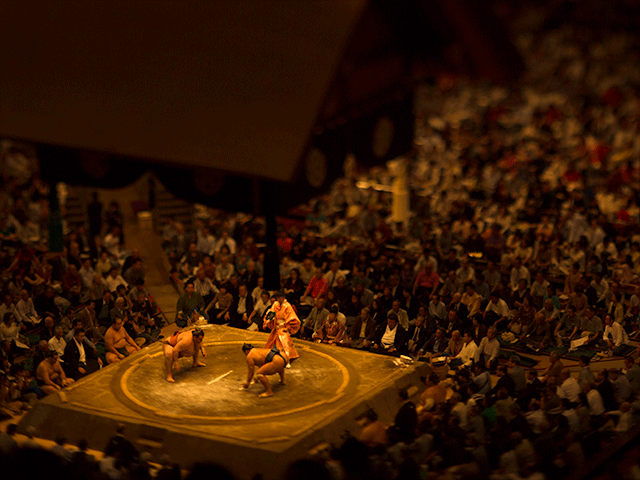Sumo GIF - Find on GIFER