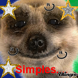 Meerkat GIF - Find on GIFER