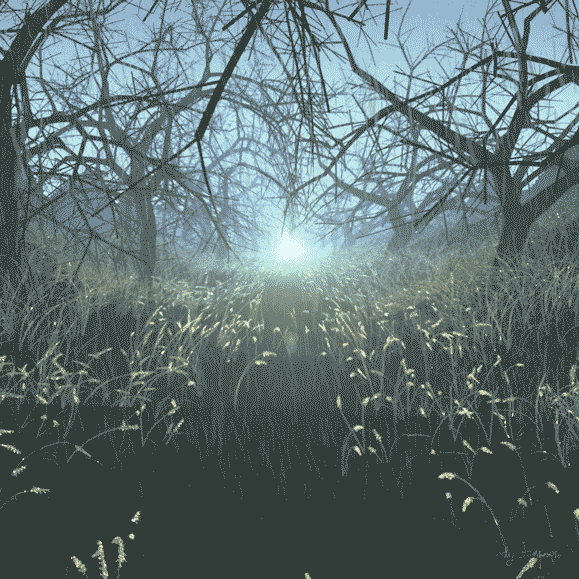 Loop walk woods GIF - Find on GIFER