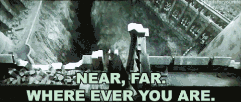Pota GIF - Find on GIFER